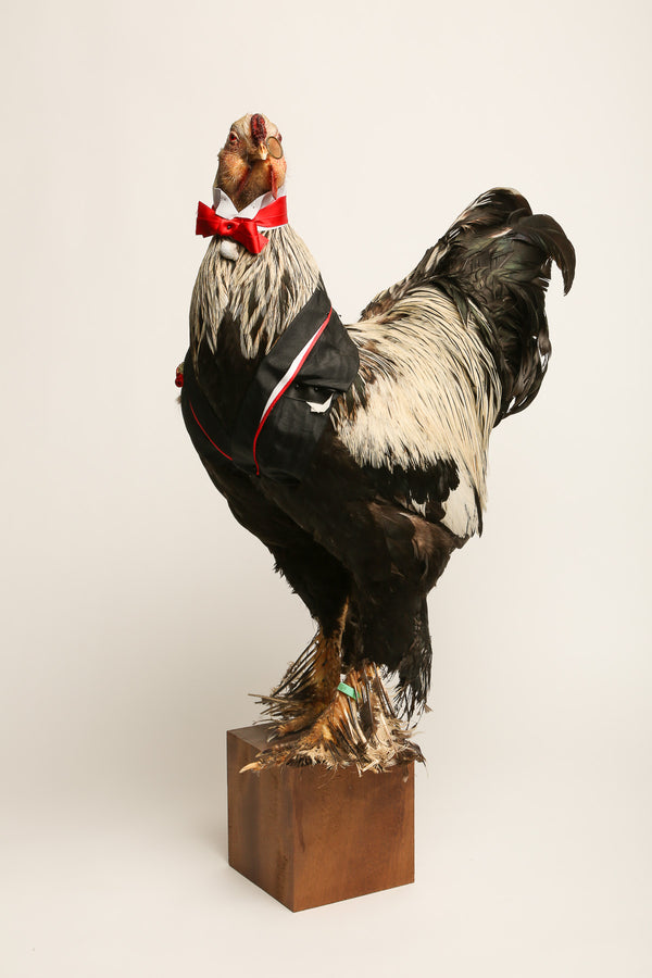 GALLERY | HOME – MAXFIELD LA