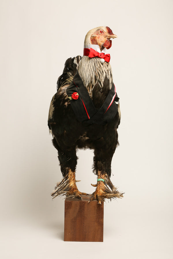 GALLERY | HOME – MAXFIELD LA